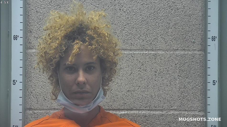 JOHNSON TIERRA JENISE 09/06/2022 - Henderson County Mugshots Zone