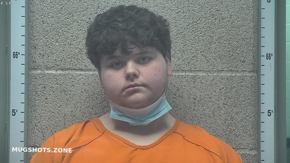 DYER TYLER V 09/13/2022 - Henderson County Mugshots Zone