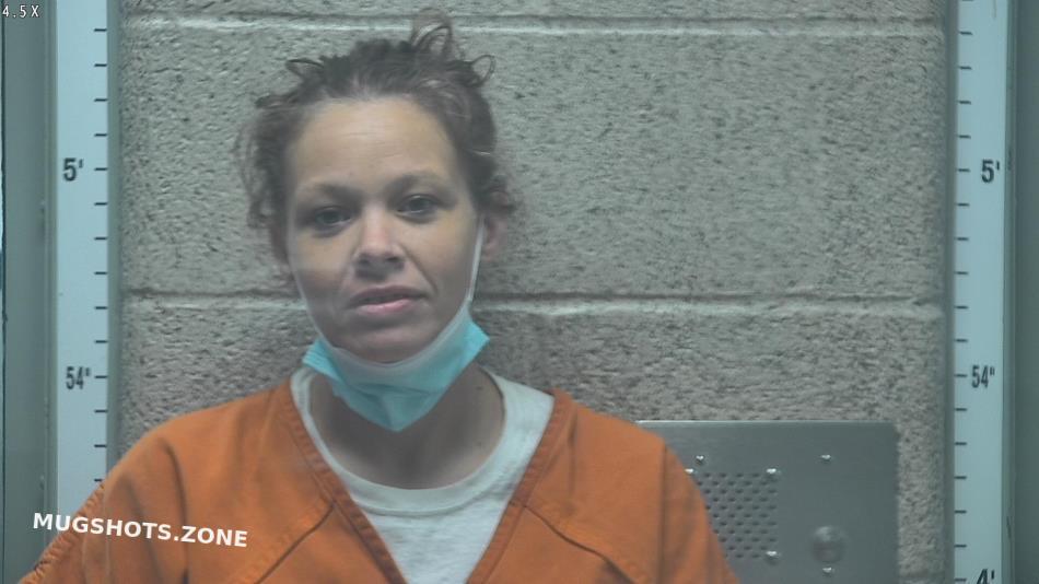 STONE KIMBERLY DAWN 10/01/2022 - Henderson County Mugshots Zone