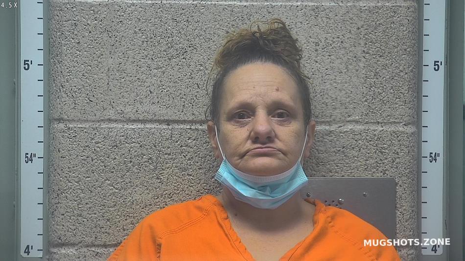 MCCORMICK SHELLY R 10/16/2022 - Henderson County Mugshots Zone
