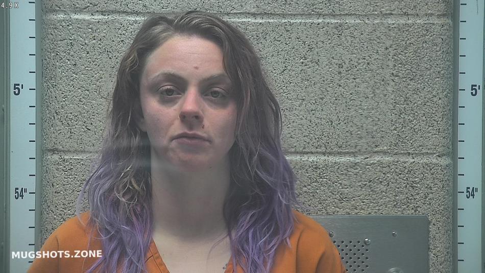 ROBINSON KRISTIN A 11/13/2022 - Henderson County Mugshots Zone
