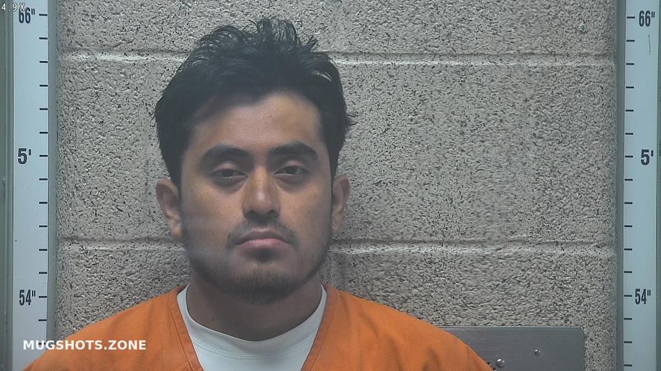 RAMIREZ LUIS 11/13/2022 - Henderson County Mugshots Zone