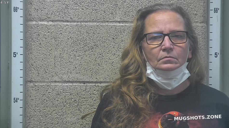 LONG DEBRA KAY 12/20/2022 - Henderson County Mugshots Zone