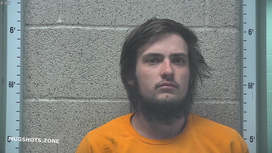 ADAMSON KEEGAN L 03/15/2023 - Henderson County Mugshots Zone