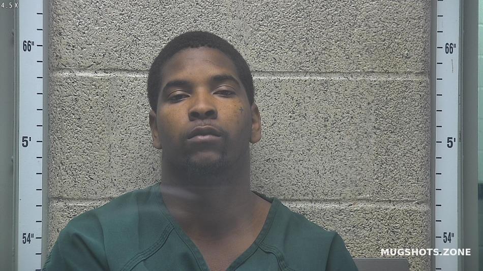 ROBINSON STEVEN 05/05/2023 - Henderson County Mugshots Zone