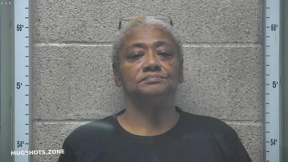 GIBSON VIVIAN V 08/28/2023 - Henderson County Mugshots Zone