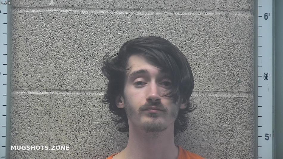 JOYNER CHASE 02/22/2024 - Henderson County Mugshots Zone