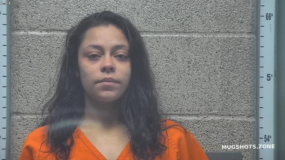WILSON ALEXIS C 02/22/2024 - Henderson County Mugshots Zone