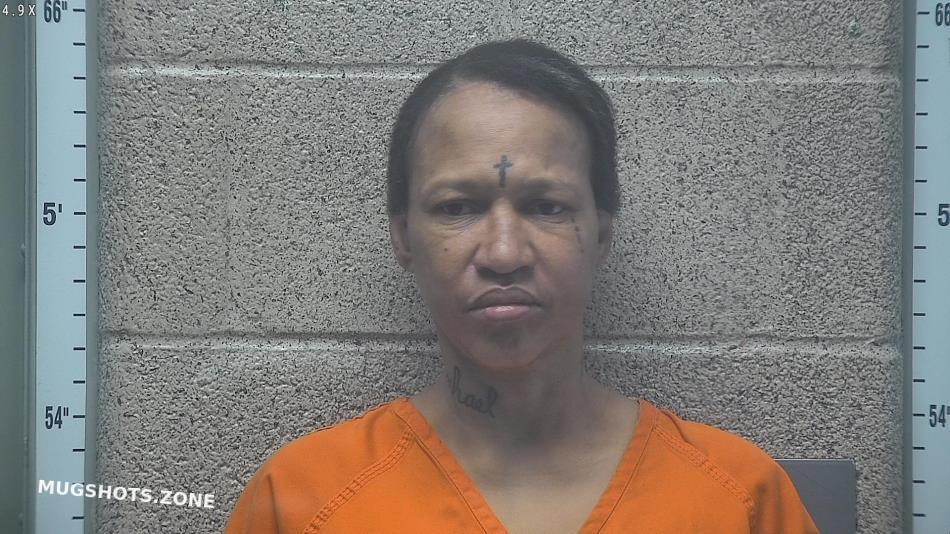 TAPP ERICA LYNN 06/21/2024 - Henderson County Mugshots Zone