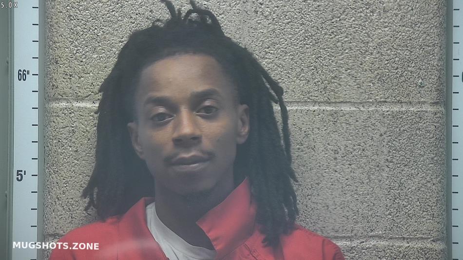 GRIFFIN RONNIE 08/25/2024 - Henderson County Mugshots Zone