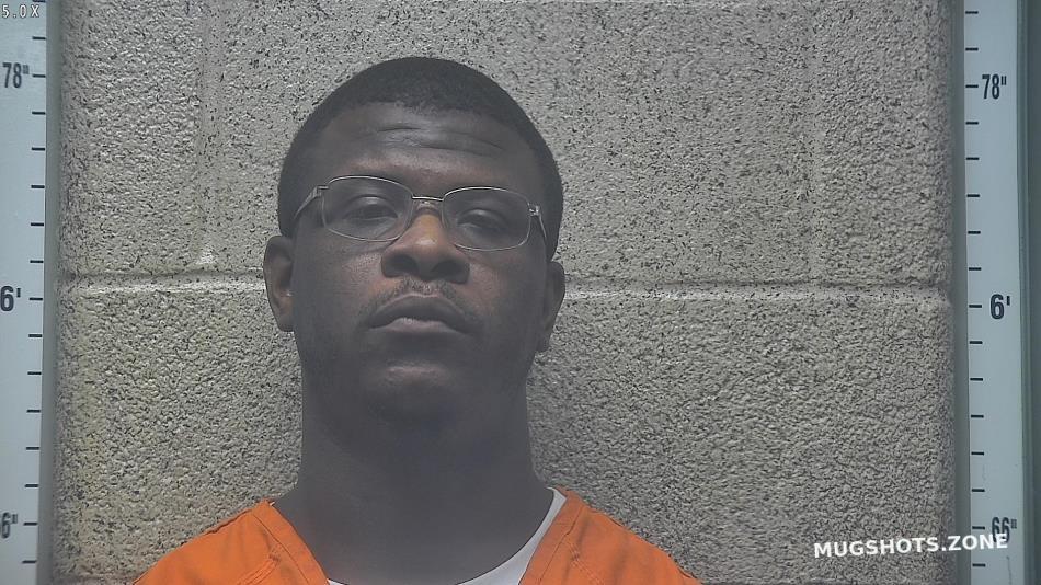 NORRIS CEDRIC LAMONT 08/27/2024 - Henderson County Mugshots Zone
