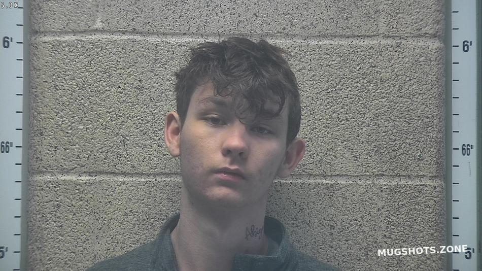 BROWNING DUSTIN 01/07/2025 - Henderson County Mugshots Zone