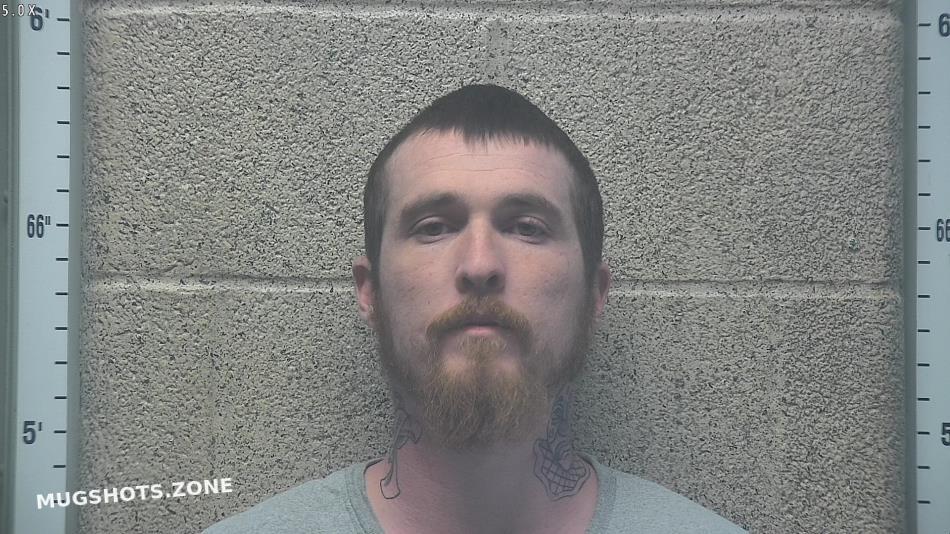 SKOW AUSTIN M 03/01/2025 - Henderson County Mugshots Zone