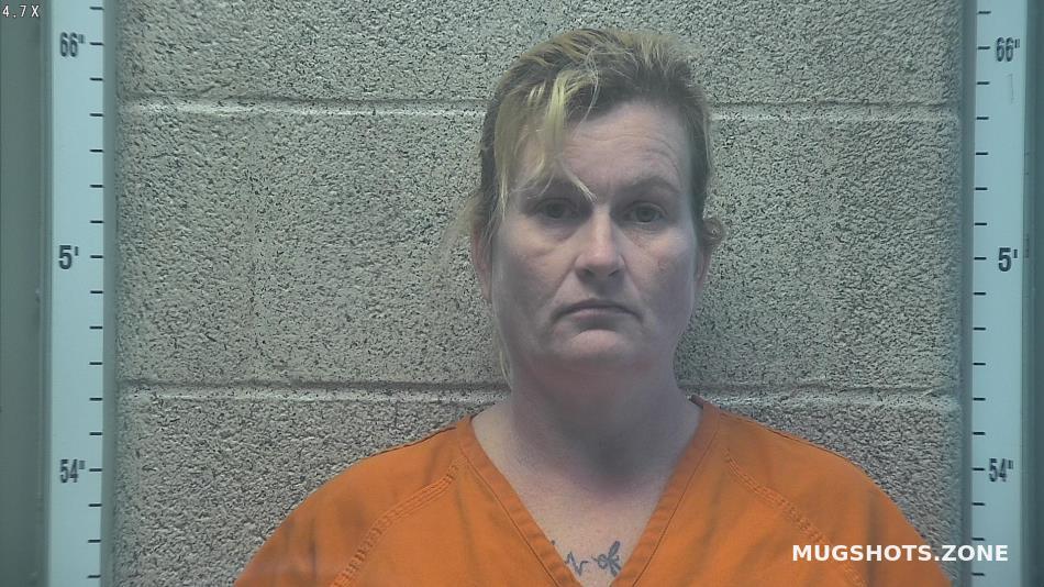 ROBERTSON-VINSON AMANDA JO 04/04/2025 - Henderson County Mugshots Zone
