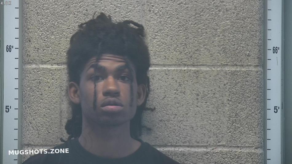 JOHNSON JAYLIN 05/13/2025 - Henderson County Mugshots Zone