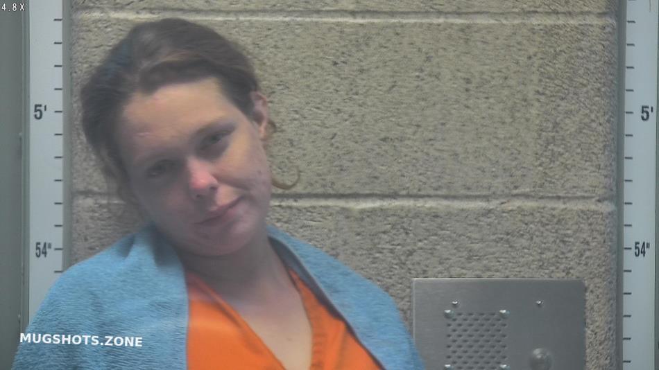 MINTER BRITTANY C 05/15/2025 - Henderson County Mugshots Zone