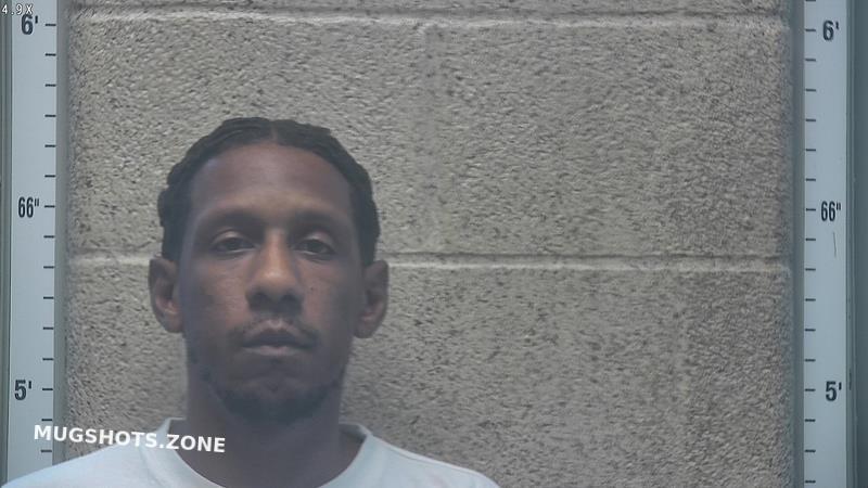 RAY JR. DAVID LEE JR 07/14/2025 - Henderson County Mugshots Zone