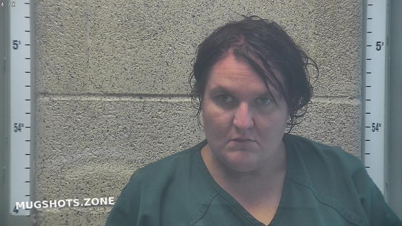 WHETSTONE NICOLE 08/09/2025 - Henderson County Mugshots Zone
