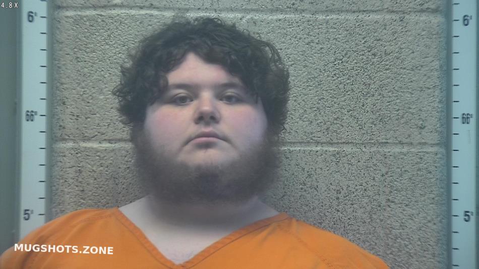 DYER TYLER V 11/05/2025 - Henderson County Mugshots Zone