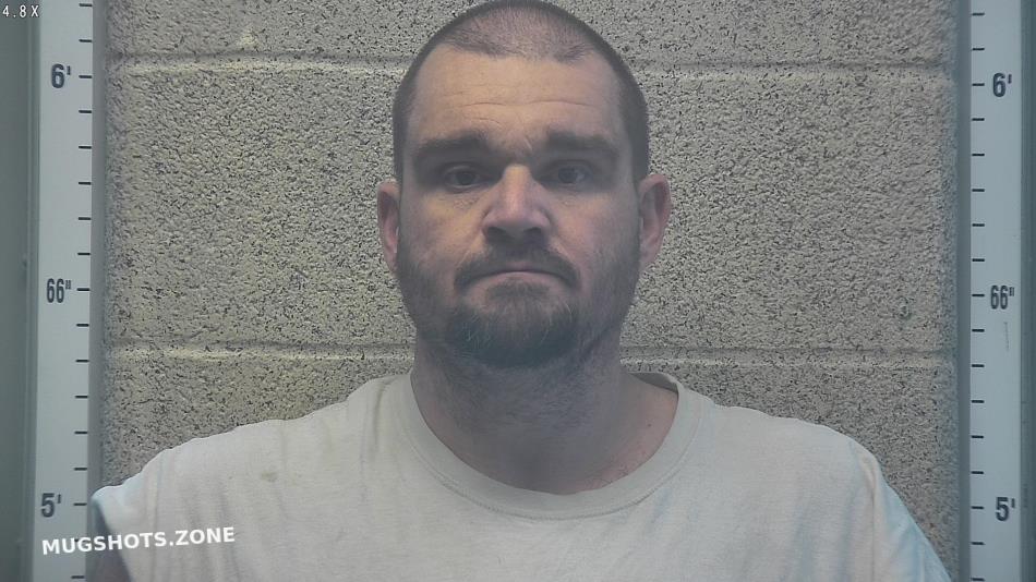 VINCENT TERRY L JR 11/20/2025 - Henderson County Mugshots Zone