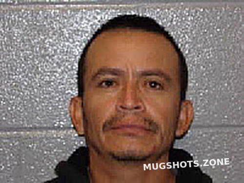 EMILIO LEONARDO GARCIA 05/13/2023 - Henderson County Mugshots Zone