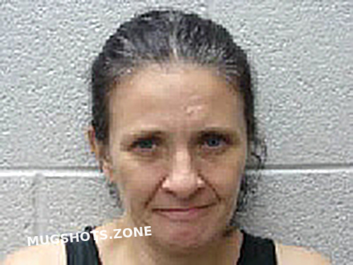 TONYA ELIZABETH THOMPSON 07/31/2023 - Henderson County Mugshots Zone
