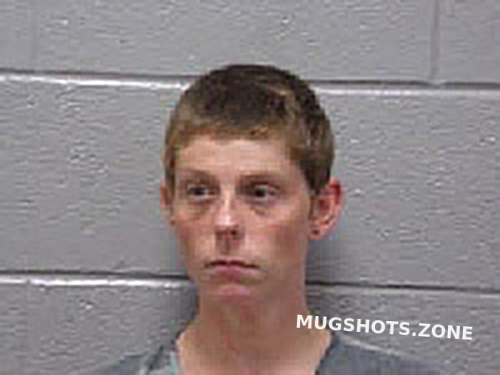 HEATHER NICOLE GROGAN 08/15/2023 - Henderson County Mugshots Zone