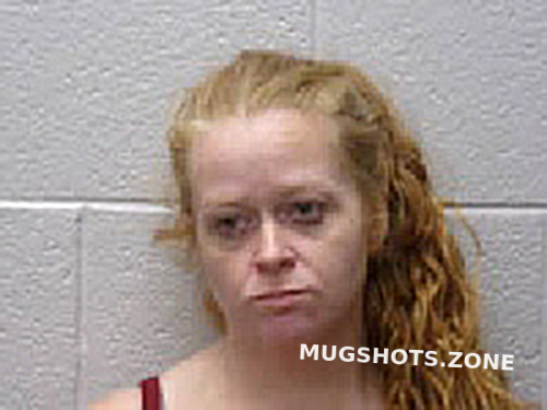 HEATHER MARIE MAYBIN 11/27/2023 - Henderson County Mugshots Zone
