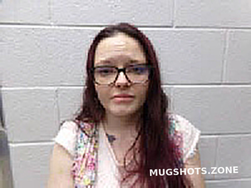 ALICIA RENEE MCLENDON 12/21/2023 - Henderson County Mugshots Zone