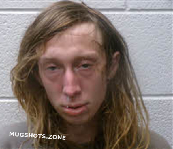 KING IAN JAMISON 03/03/2025 - Henderson County Mugshots Zone