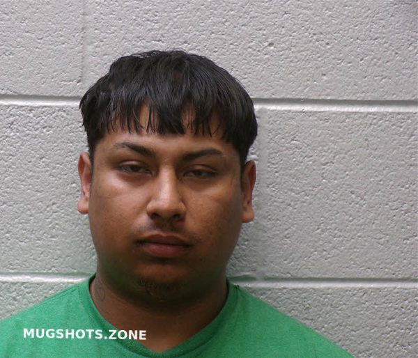 TORRES EFREN DANIEL 03/15/2025 - Henderson County Mugshots Zone
