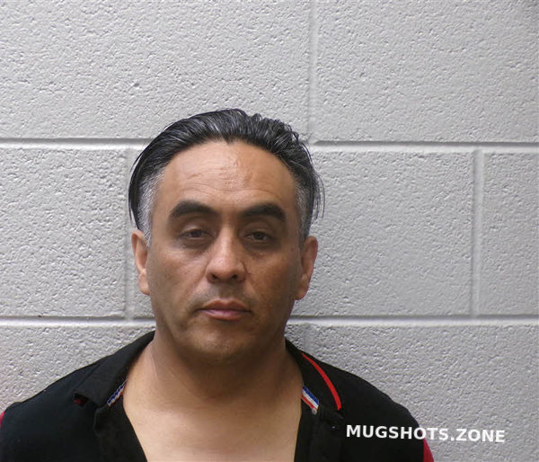 BADILLO-OLGUIN FABIAN 03/28/2025 - Henderson County Mugshots Zone