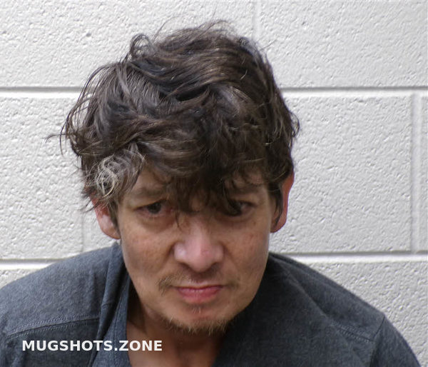 HUDSON WILLIAM HARREL 04/06/2025 - Henderson County Mugshots Zone