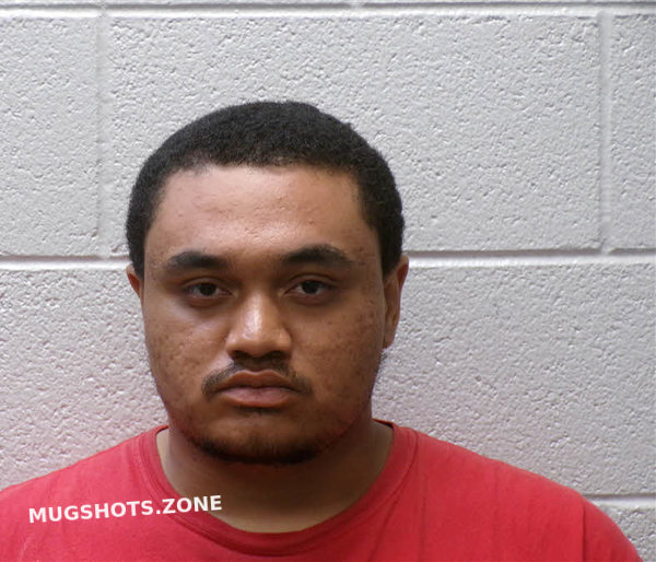 PATINO DANIEL ISRAEL 04/26/2025 - Henderson County Mugshots Zone