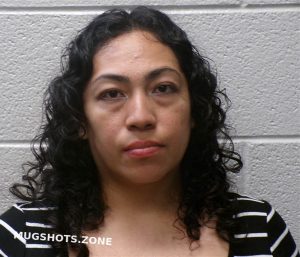 GUERRA-DELGADO YANET 05/08/2025 - Henderson County Mugshots Zone