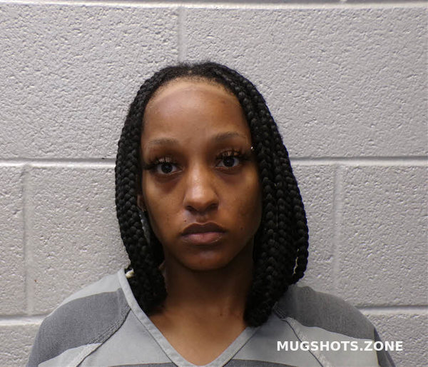 HIGGINS BRANDY LEE 05/15/2025 - Henderson County Mugshots Zone