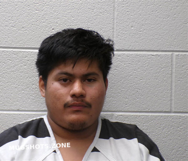 ROBLERO IVER IVAN 05/19/2025 - Henderson County Mugshots Zone