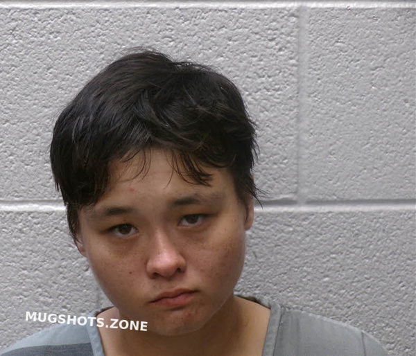 LINGERFELT BETHANY ANN 05/28/2025 - Henderson County Mugshots Zone