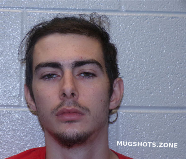 BAYNARD JOSEPH RAY 06/03/2025 - Henderson County Mugshots Zone