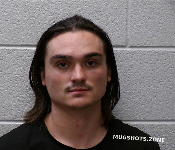 DILLINGHAM GAGE TYLER 06/14/2025 - Henderson County Mugshots Zone