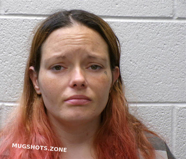 MCLENDON ALICIA RENEE 06/16/2025 - Henderson County Mugshots Zone