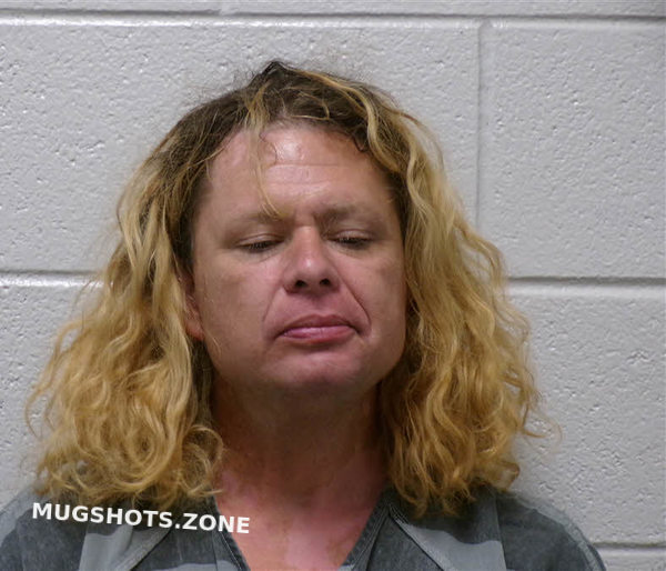 HILDEBRAND SCOTT ALLEN 07/30/2025 - Henderson County Mugshots Zone