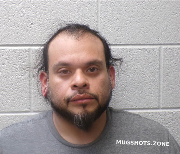 ALEMAN DOUGLAS ANTONIO 08/06/2025 - Henderson County Mugshots Zone