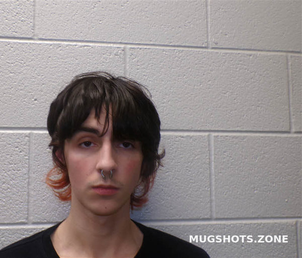 FOREMAN JOSHUA DIMITRI 09/11/2025 - Henderson County Mugshots Zone