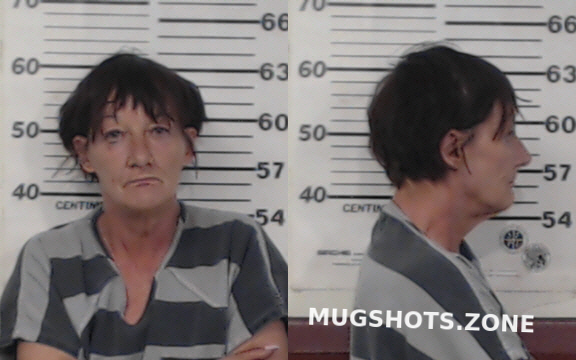 EDINGER PAMELA STROUD 01/02/2021 - Henderson County Mugshots Zone