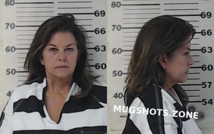 CAVANAUGH LESLIE DIANE 01/31/2021 - Henderson County Mugshots Zone