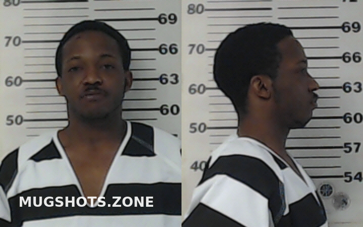 LOWE ANTONIO DEVON 01/31/2021 - Henderson County Mugshots Zone