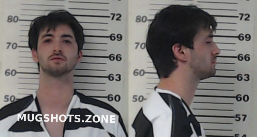 SHERRELL CHAD WYATT 02/04/2021 - Henderson County Mugshots Zone