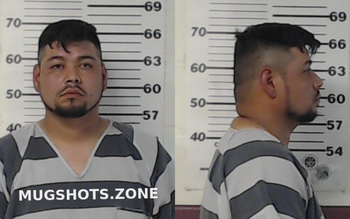 TORRES HECTOR DANIEL 03/29/2021 - Henderson County Mugshots Zone