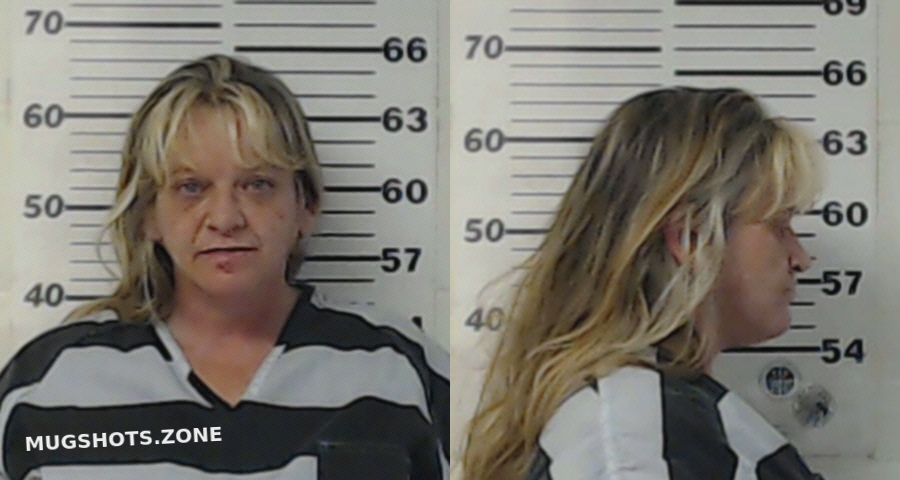 MEZA AMANDA KAYE 04/17/2021 - Henderson County Mugshots Zone